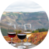 Our Story | Alexis George Wines