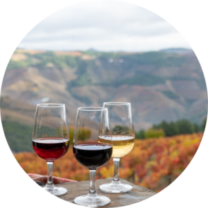 Our Story | Alexis George Wines