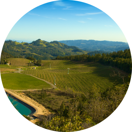 Our Story | Alexis George Wines