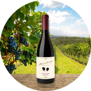 Our Story | Alexis George Wines